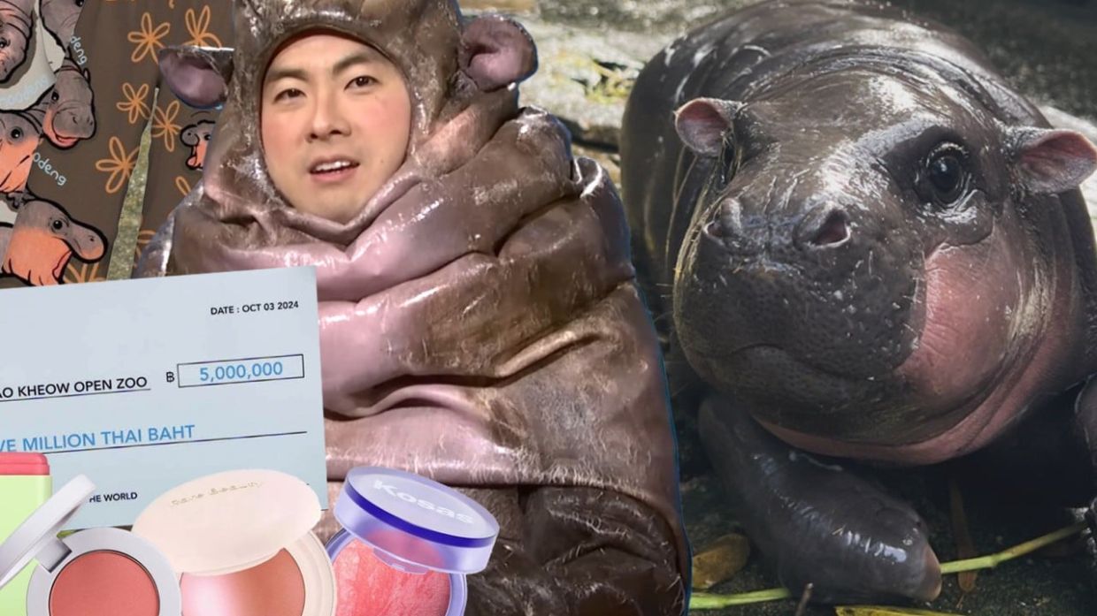 Global fame of Thai baby hippo inspires make-up products, life ...