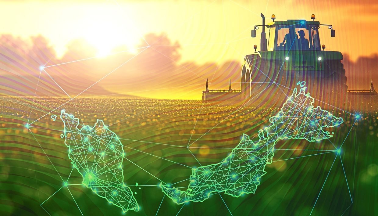 Rebooting the agriculture sector | The Star
