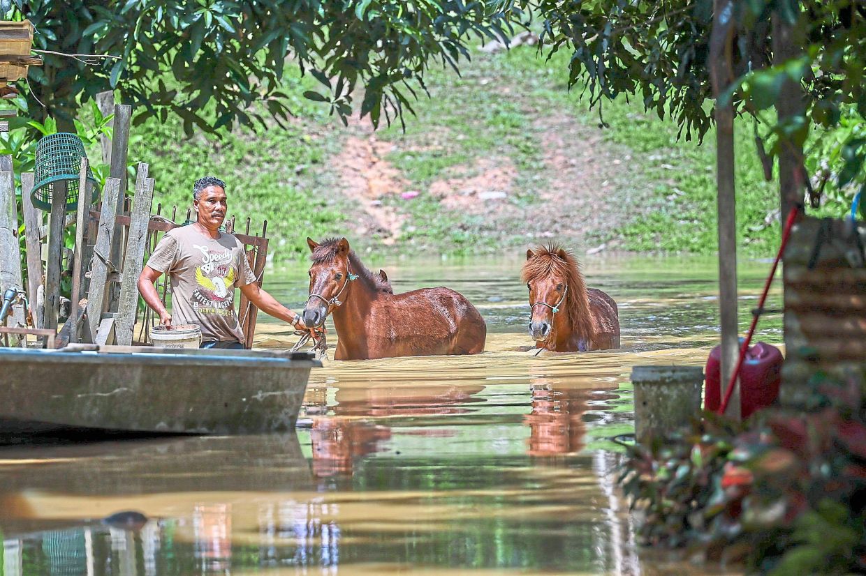 Worsening floods in Pahang and Perak | The Star