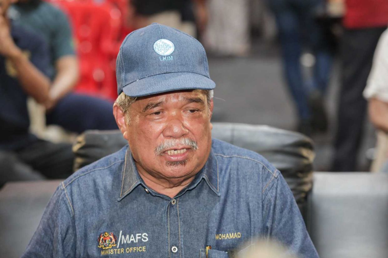 Research key for Harumanis mango stability, says Mat Sabu | The Star