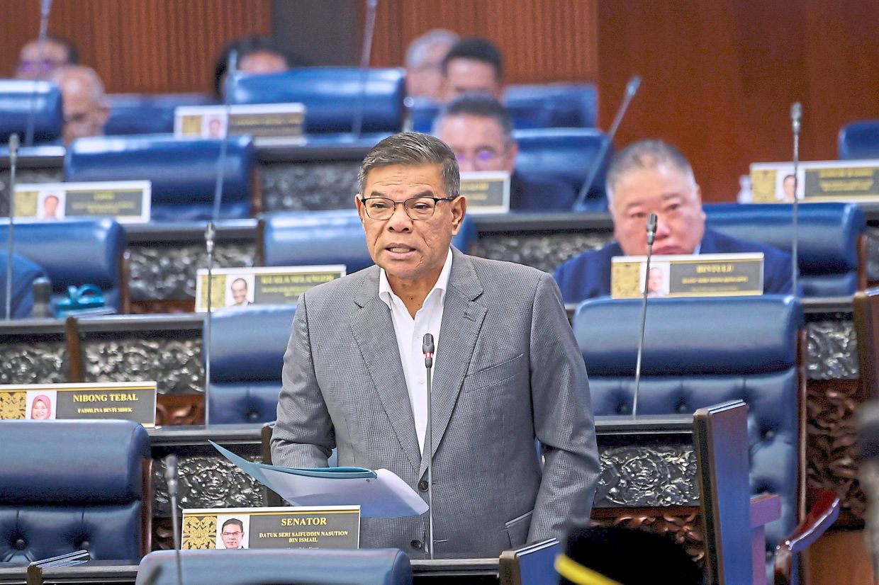 Saifuddin to look into citizenship issue of 30,000 born to PR holders ...