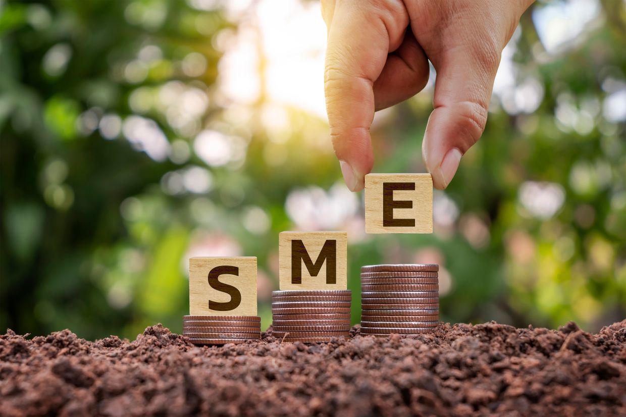 Future-proofing MSMEs: embedding sustainability for long-term success ...