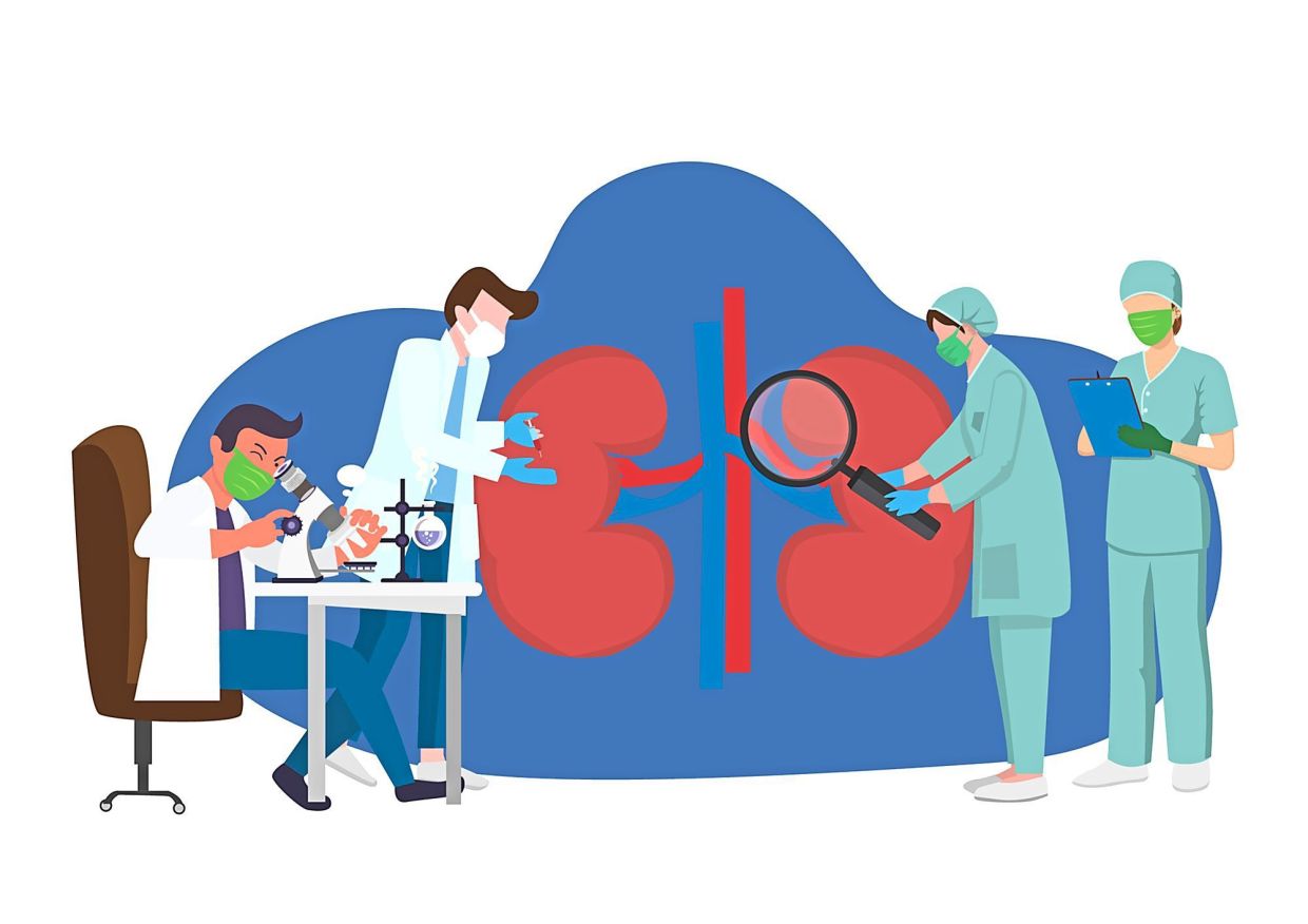 A step closer to building an artificial kidney | The Star