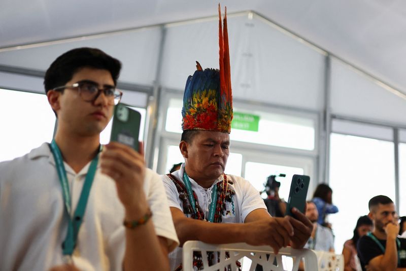 UN COP16 nature summit creates permanent body for Indigenous peoples ...
