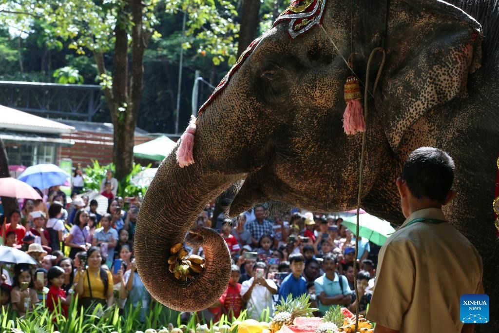 Myanmar's national treasure and beloved Asian elephant Momo celebrates ...