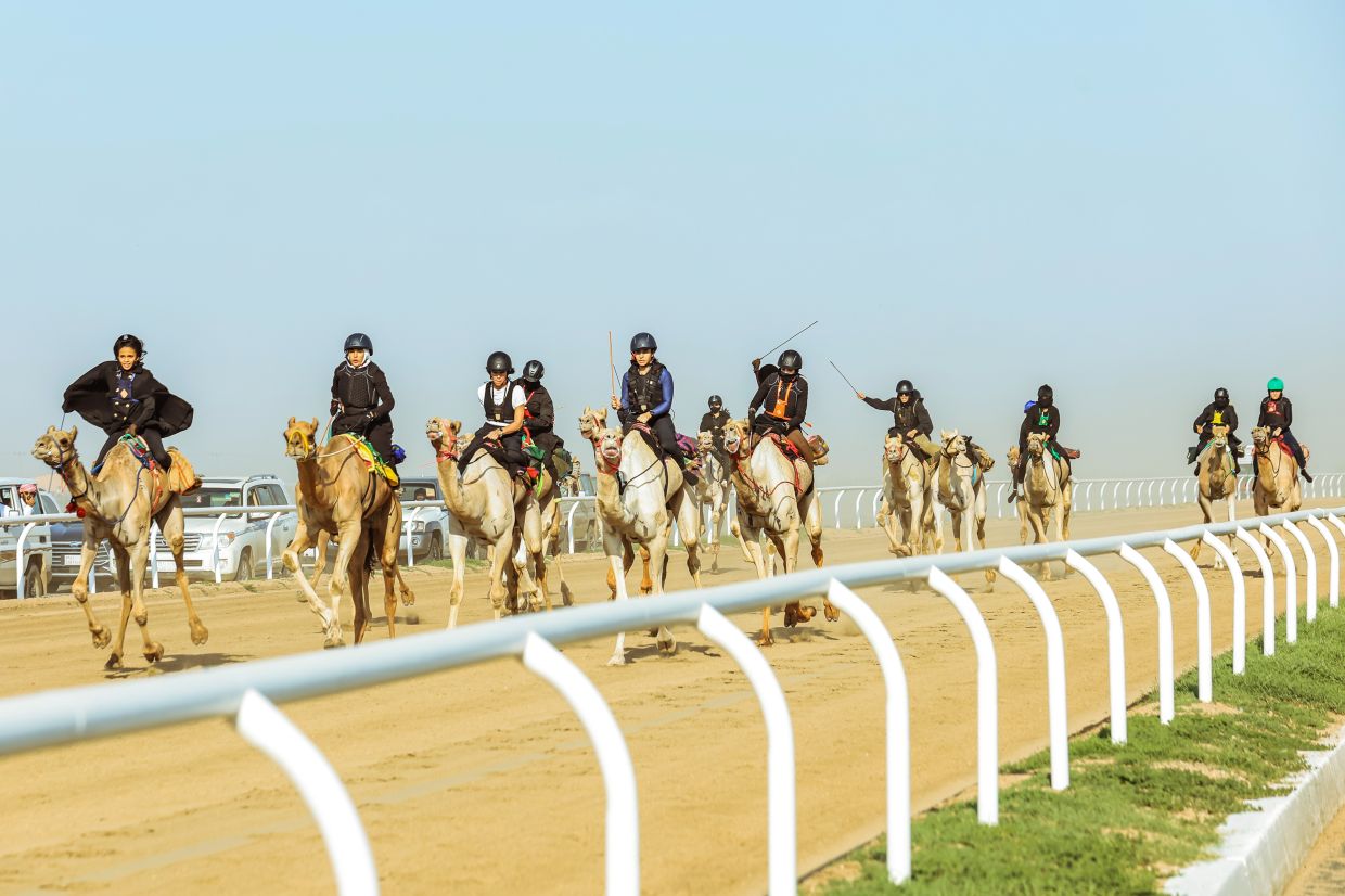 In the Middle East, camel racing is experiencing new era with more ...