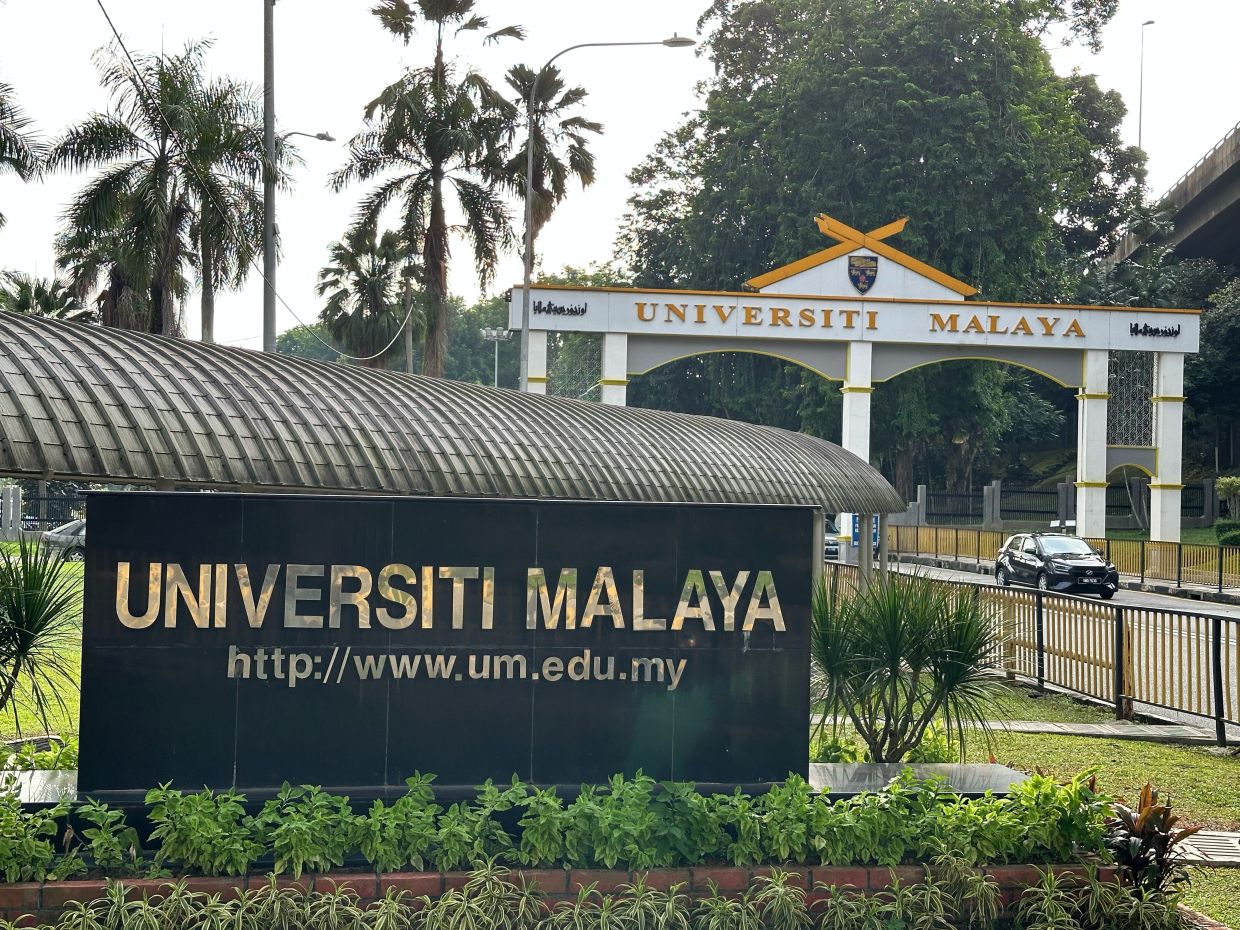 Fake UM certs? Report them, says varsity | The Star