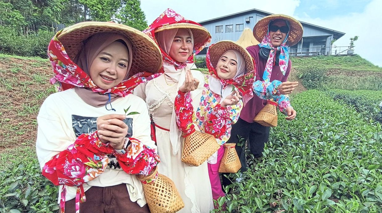 Go for a Muslim-friendly adventure in vibrant Taiwan | The Star