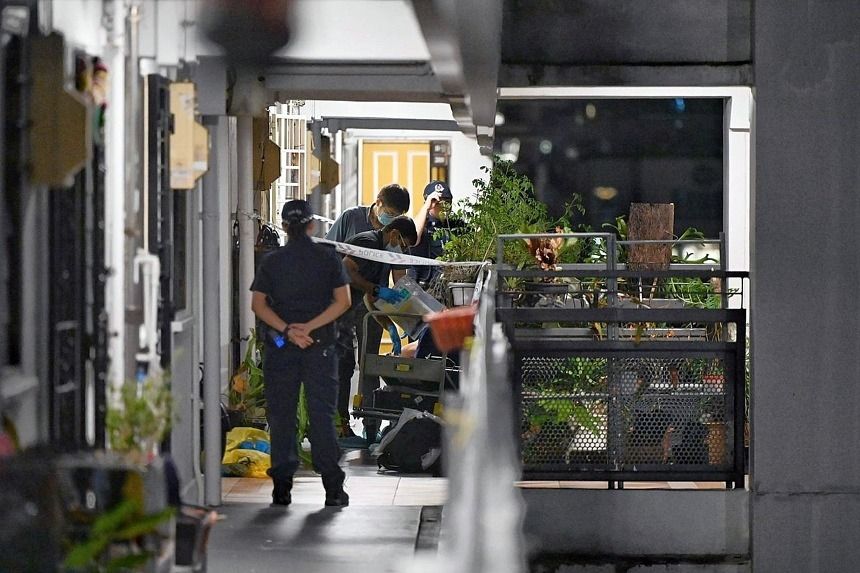 Body of woman found inside Dover HDB flat, man able to help with police ...