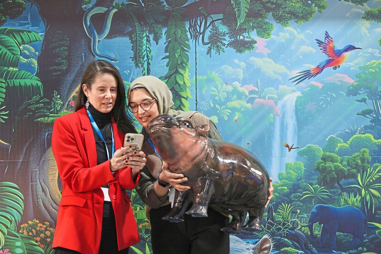 Moo Deng: Still the ‘It Girl’ | The Star