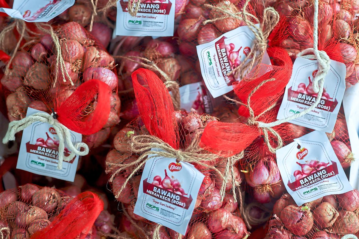 Growing rose onion hub | The Star