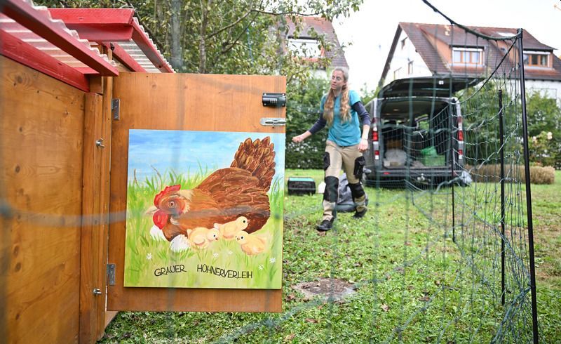 How a chicken rental service in Germany gives city folk a taste of ...
