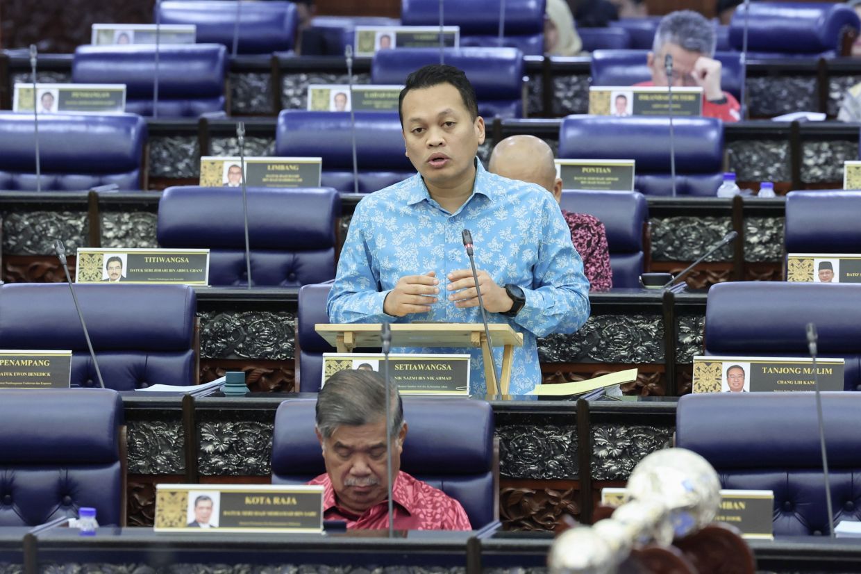 No plan to set up entity to regulate REE industry, says Nik Nazmi | The ...