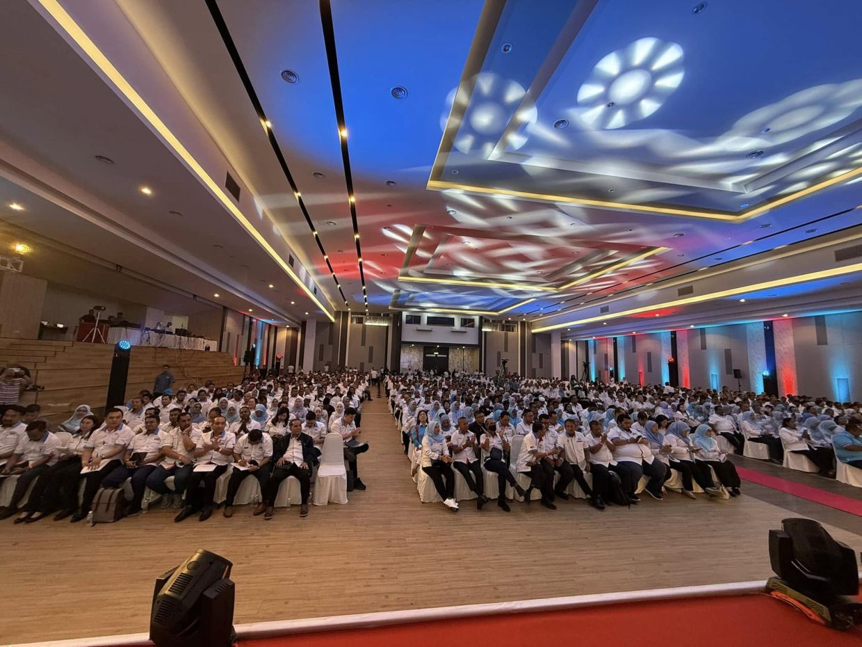 Delegate system now in place to elect topmost leaders | The Star