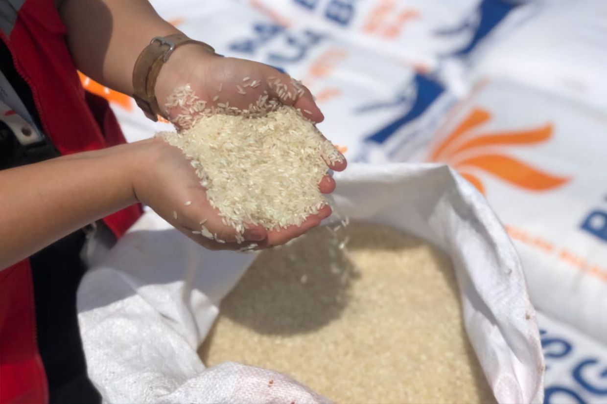 Indonesia to boost rice purchases from their farmers to ensure food ...