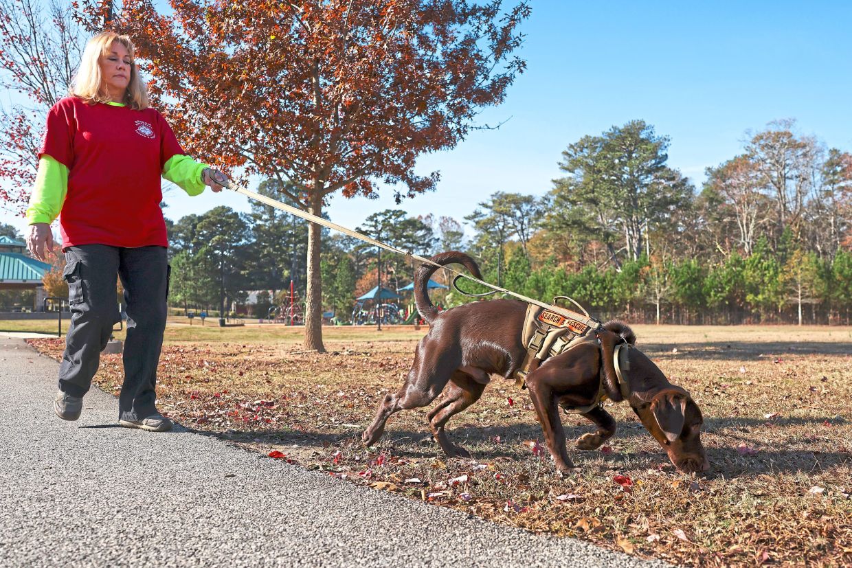 When dementia patients wander off | The Star