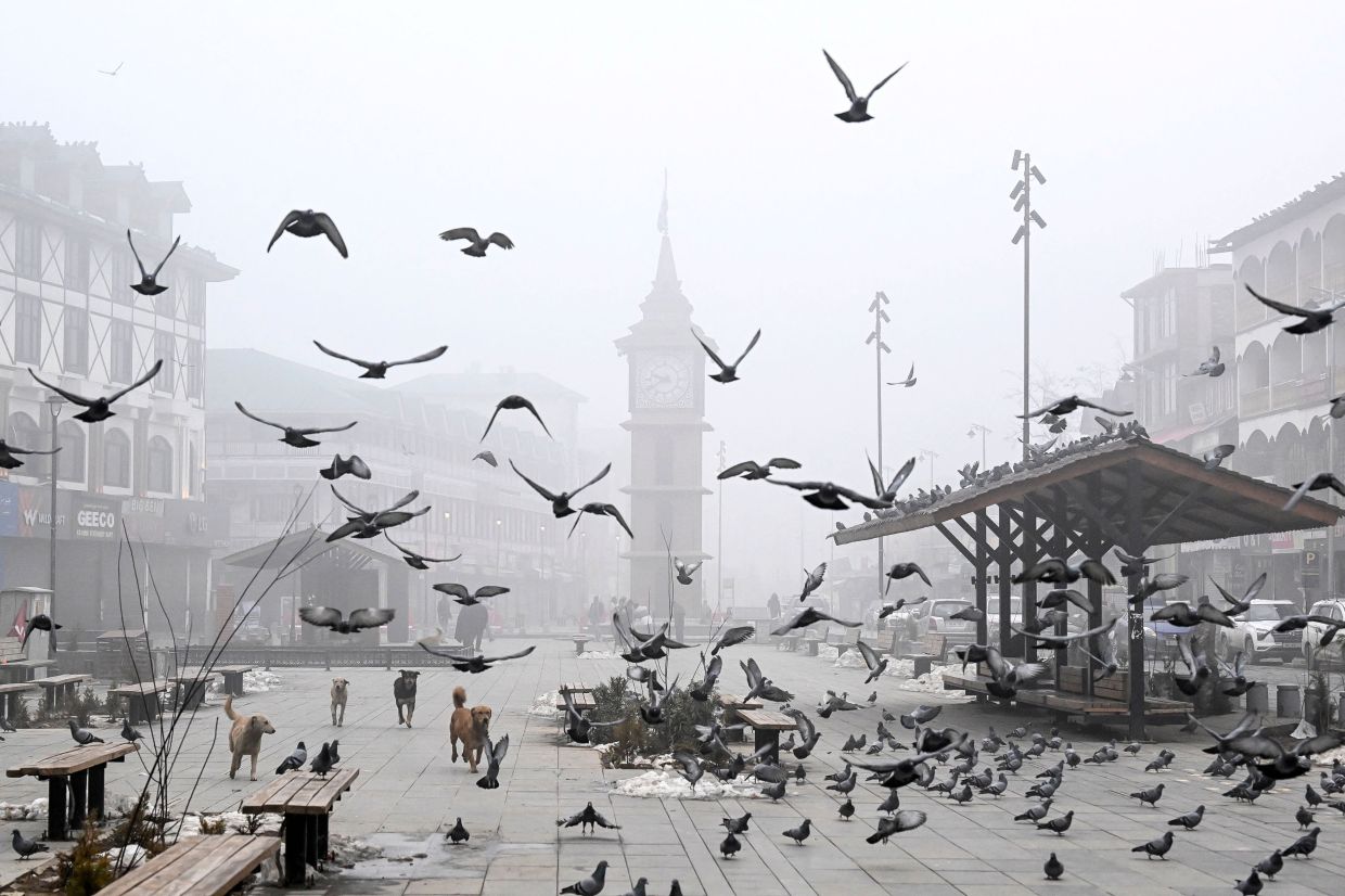 Dense fog disrupt flights and trains in Northern India | The Star