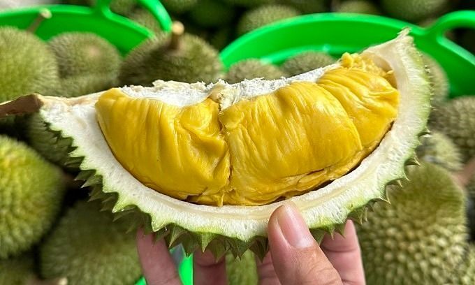 Vietnam emerges as global durian powerhouse; its 2024 export value ...