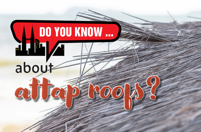 Do you know...about attap roofs? | The Star