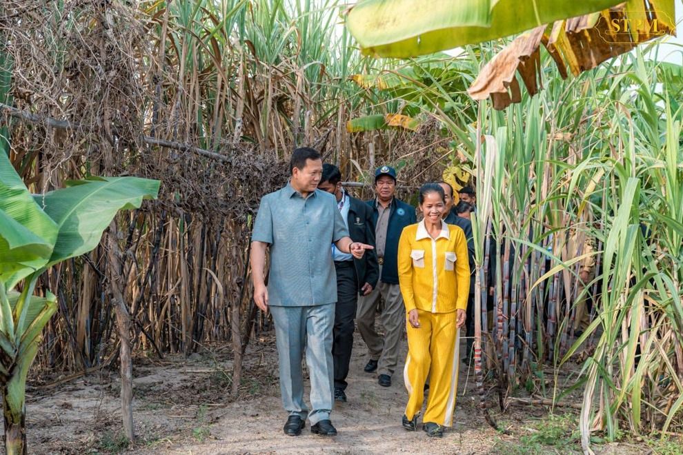Cambodian government US$150 million credit guarantee to protect rice ...