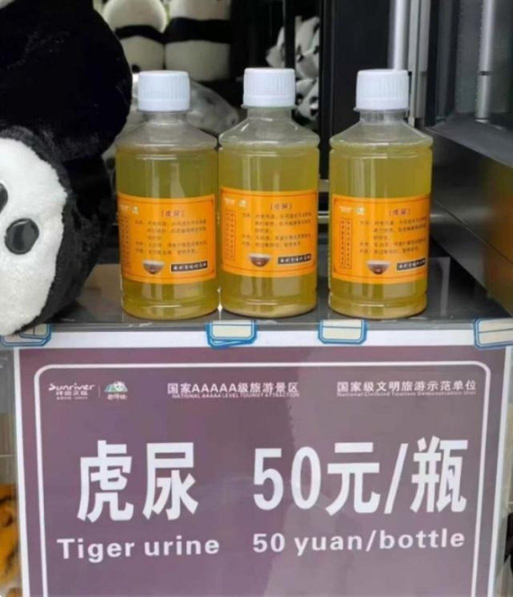 China zoo attracts attention by selling tiger urine for US$7, claims it ...