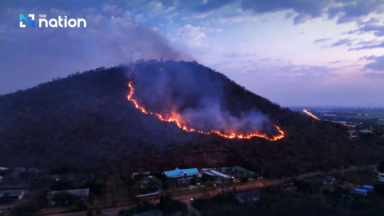 Forest fire threatens Asia’s largest bird park in Thailand's Chai Nat ...