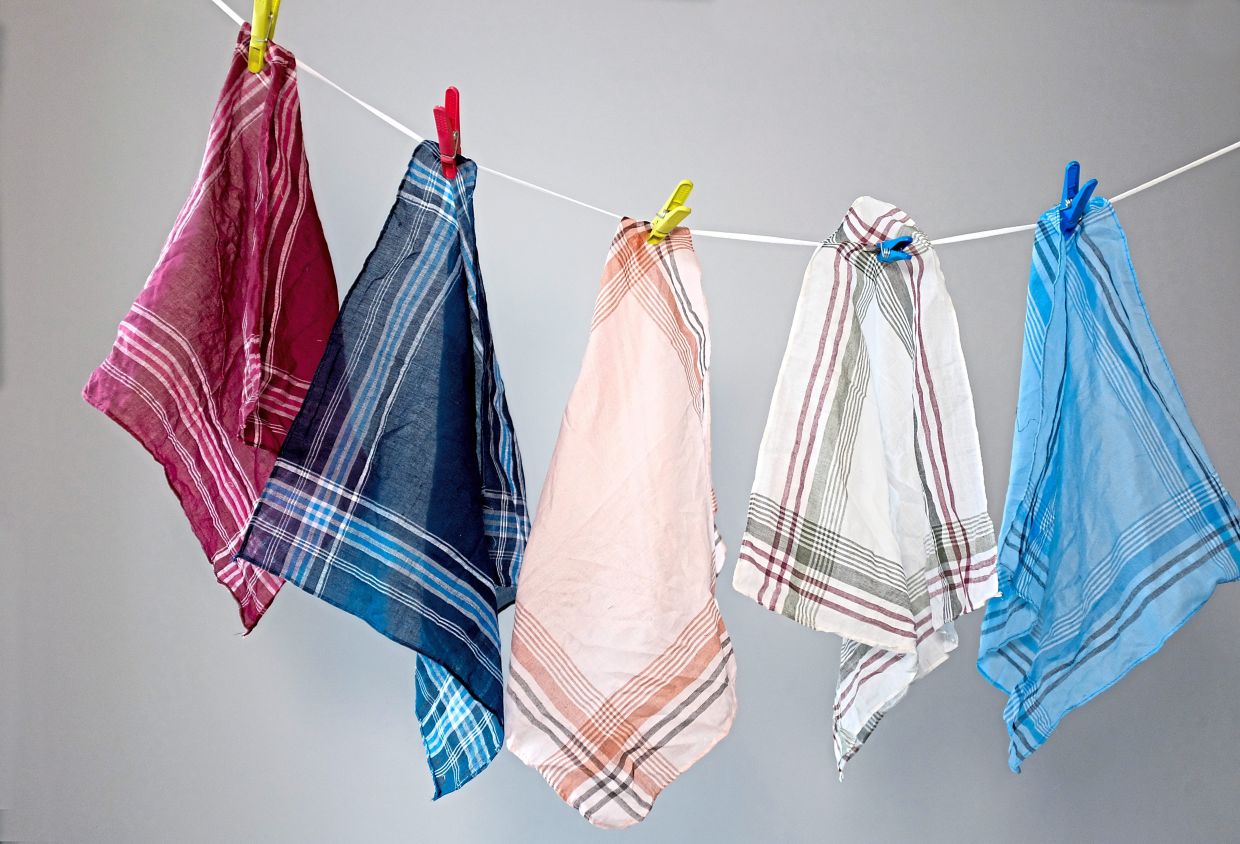Old-fashioned handkerchiefs just as hygienic as tissues | The Star