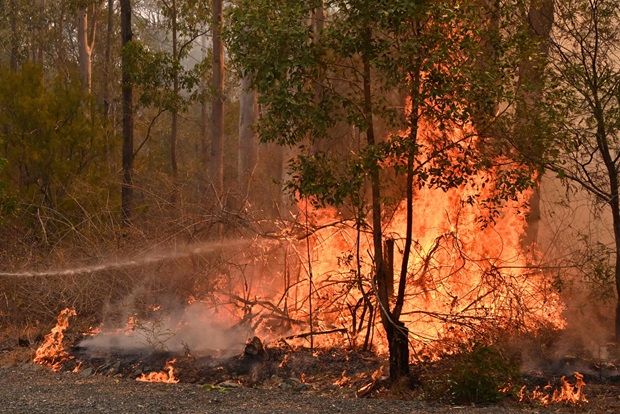 Bushfire takes 12 hours to control | The Star