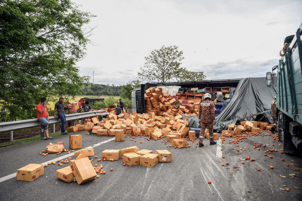 Lorry fully laden with tomatoes spills cargo on NSE near Pendang ...