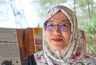 Deaths of green sea turtles on the rise | The Star