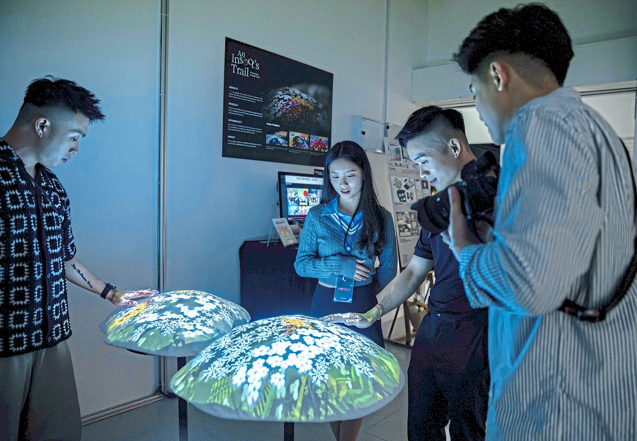 A fest for the senses | The Star