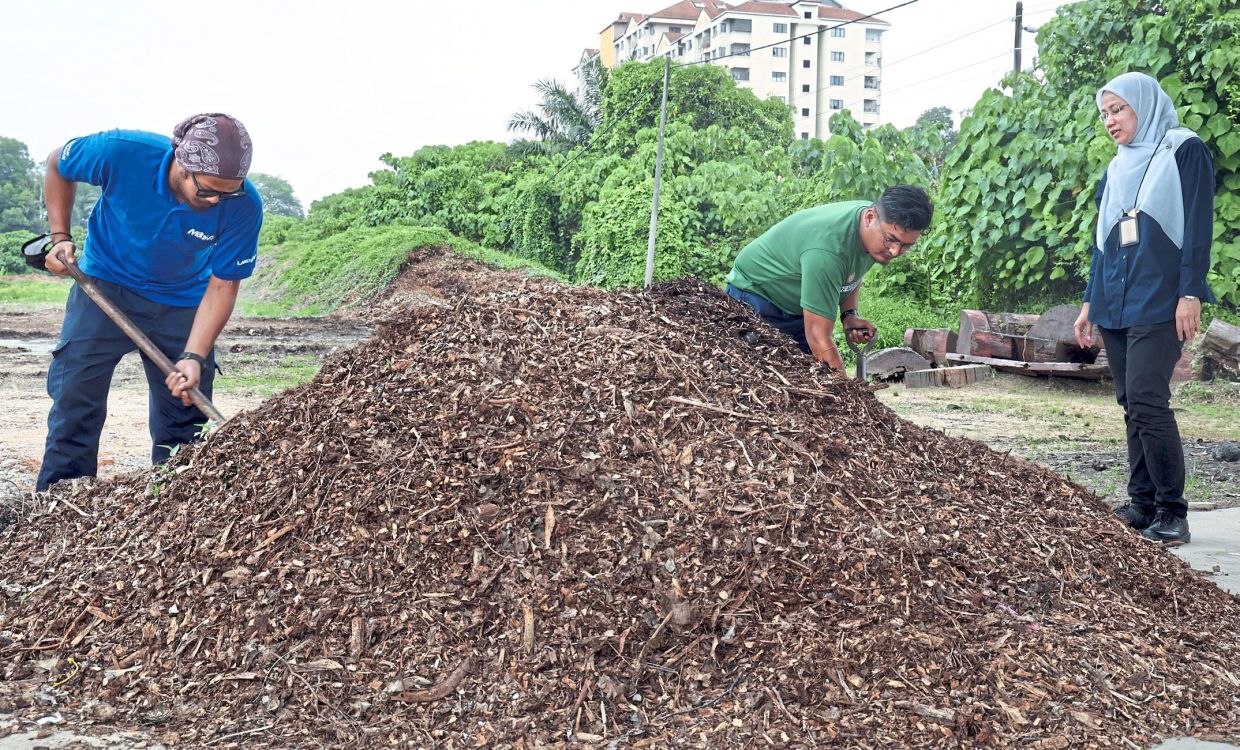 Dealing with non-recyclable waste | The Star