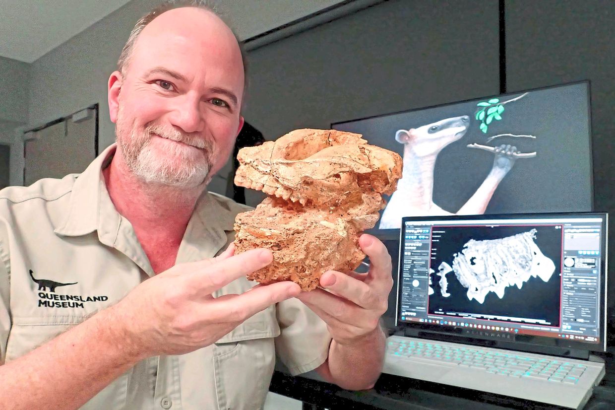 How giant prehistoric kangaroos died | The Star