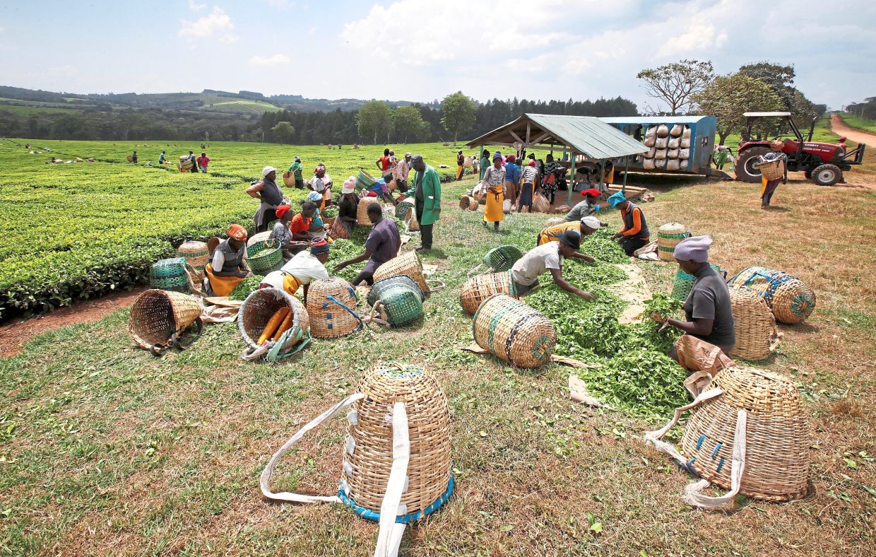 Colonial land feud boils over | The Star