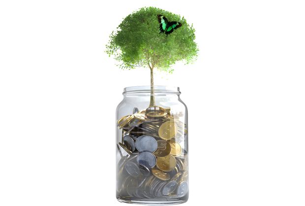 Banks mobilising billions in green money | The Star