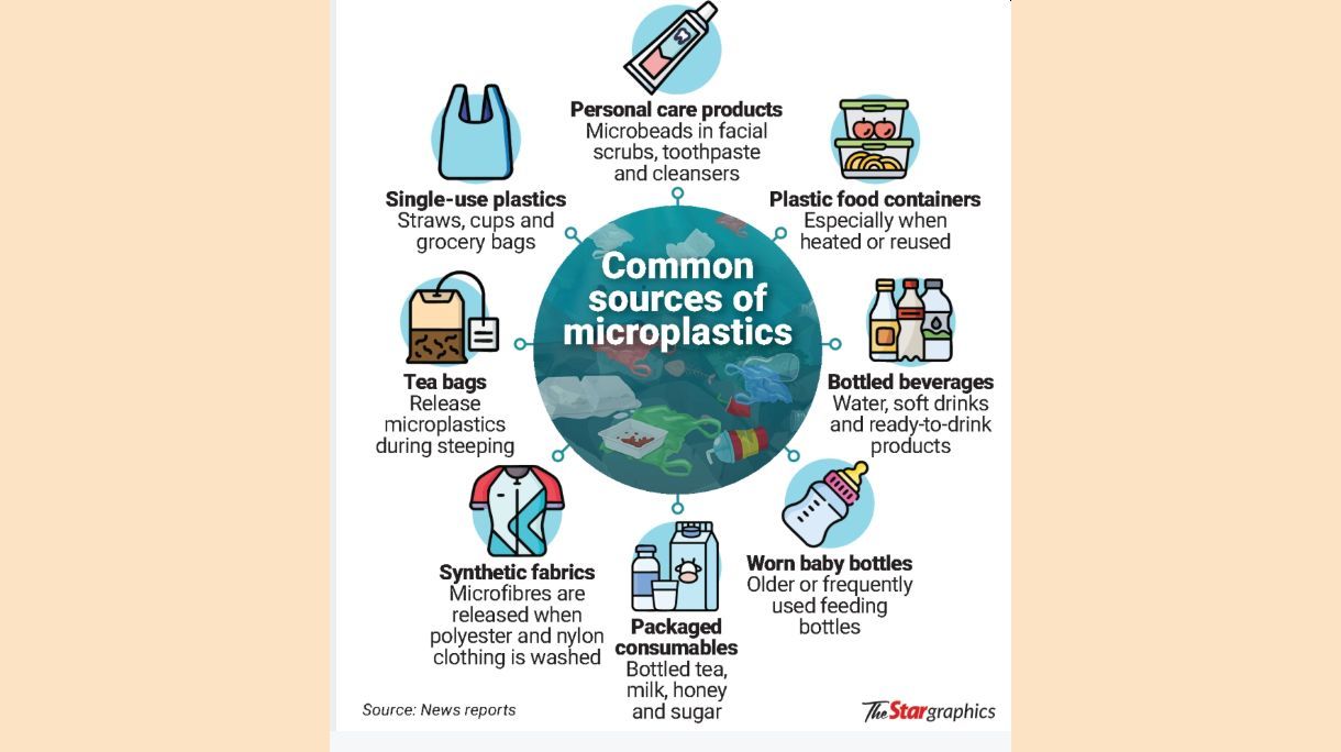 ‘Eat right to reduce microplastic toxicity’ | The Star