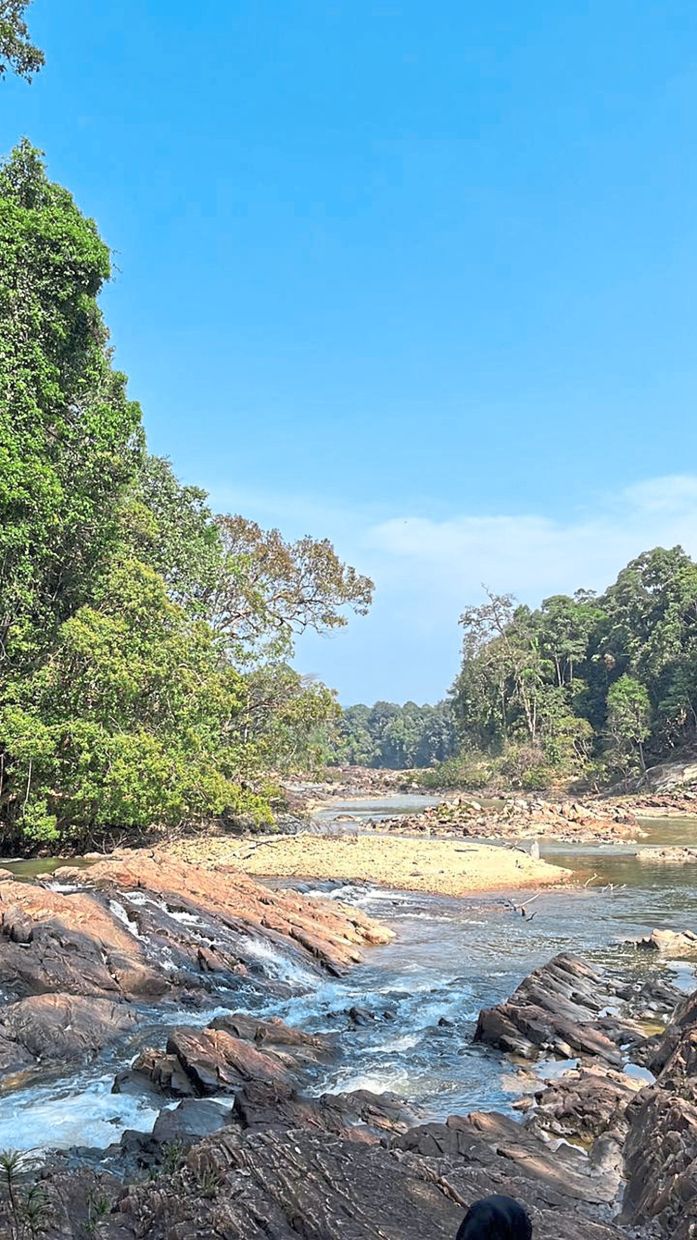 ‘Johor too long known as just Singapore’s neighbour’ | The Star