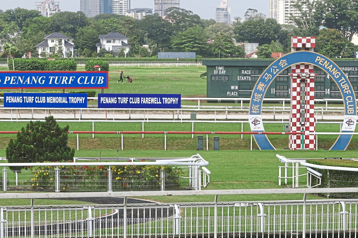 So long, after last furlong | The Star