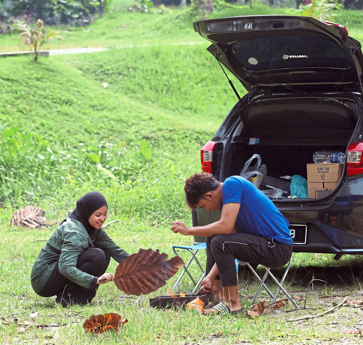 Forest frolics | The Star