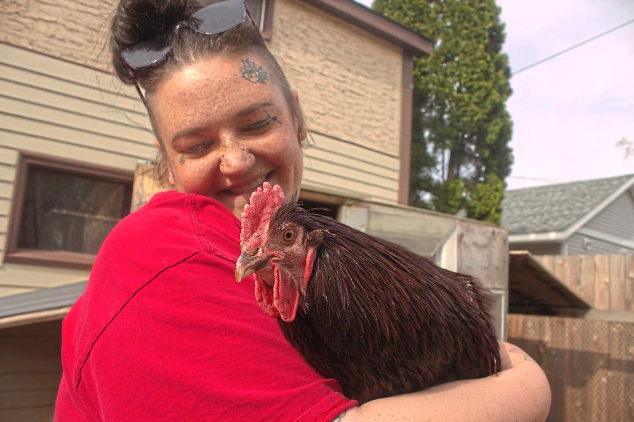 'Chicken lady' in US fights for the fowls at her rehab centre for ...