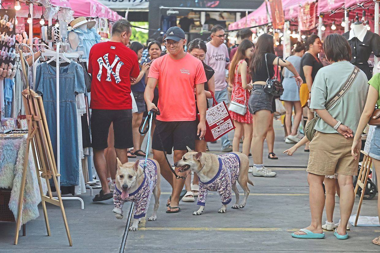Pets on parade at bazaar | The Star