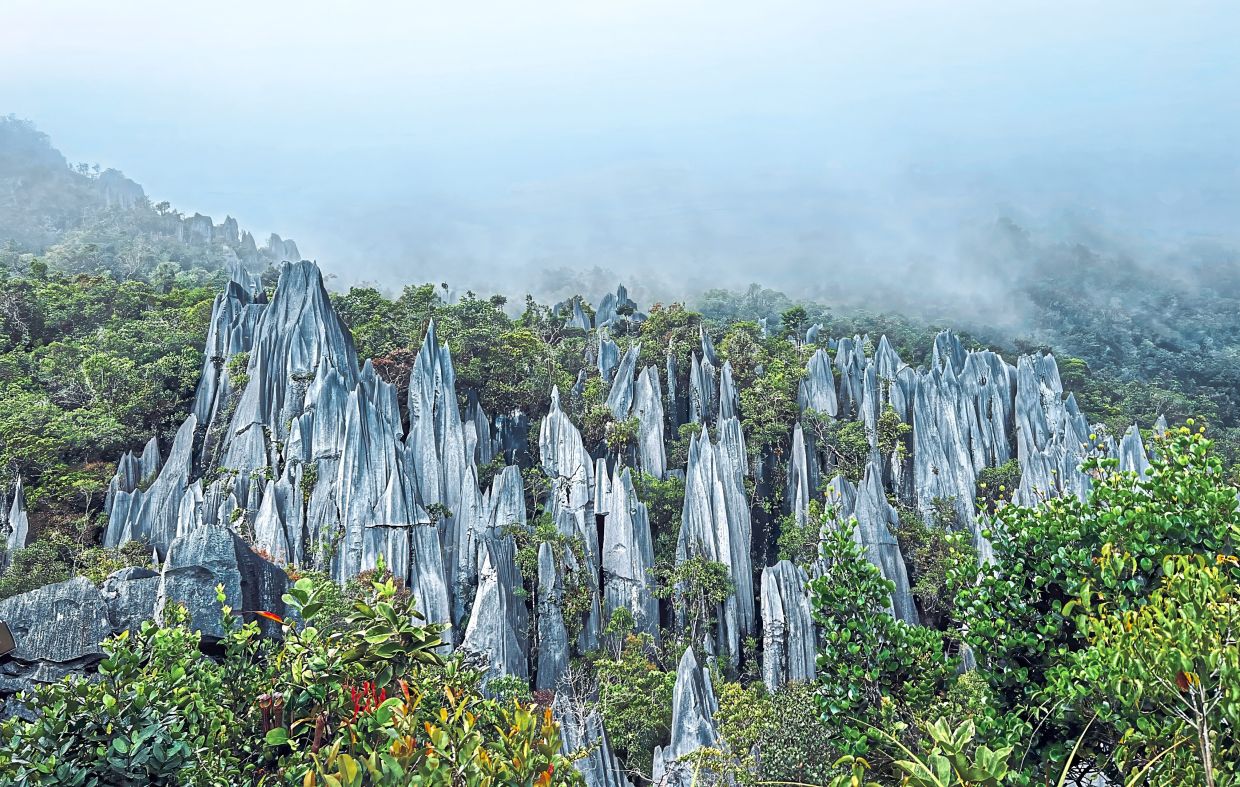 The climb to Sarawak’s Pinnacles is brutal, breathtaking, and totally worth it | The Star