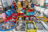 Wawasan Dengkil aims to raise RM27mil in IPO, focused on large-scale ...