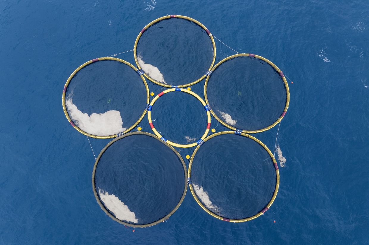 Company's carbon credits raise questions about unproven ocean ...