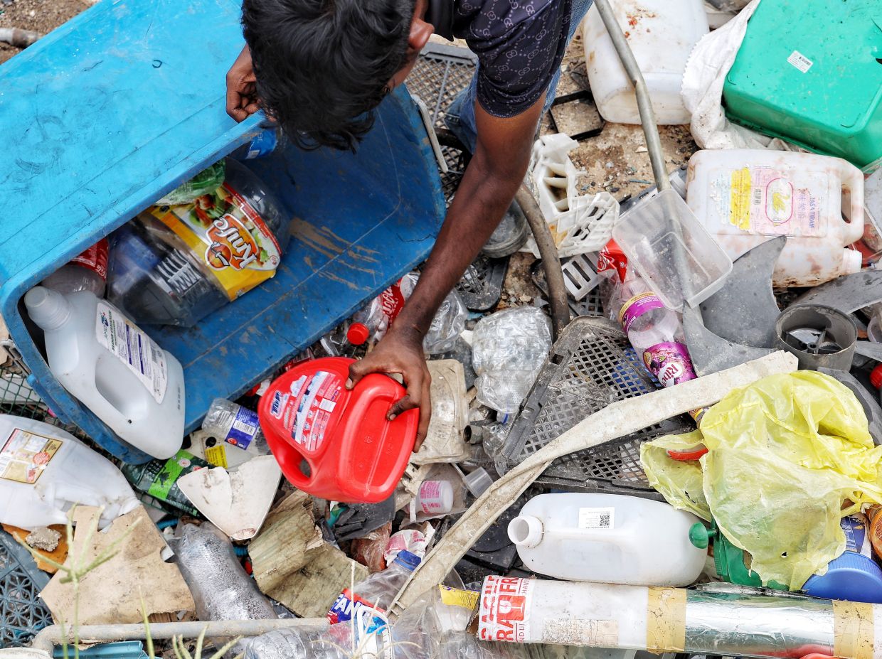 Import bans to save lives | The Star