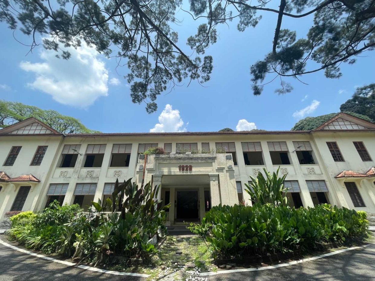 FRIM Selangor Forest Park is now a Unesco World Heritage Site | The Star