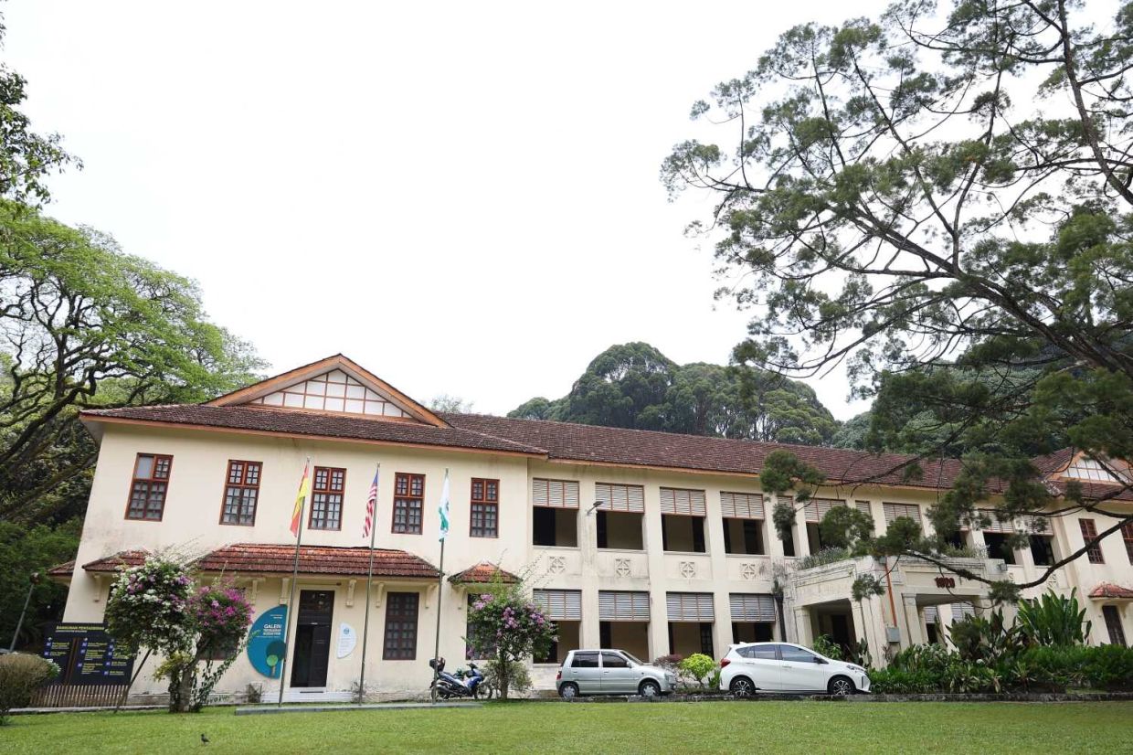 FRIM Selangor Forest Park is now a Unesco World Heritage Site | The Star