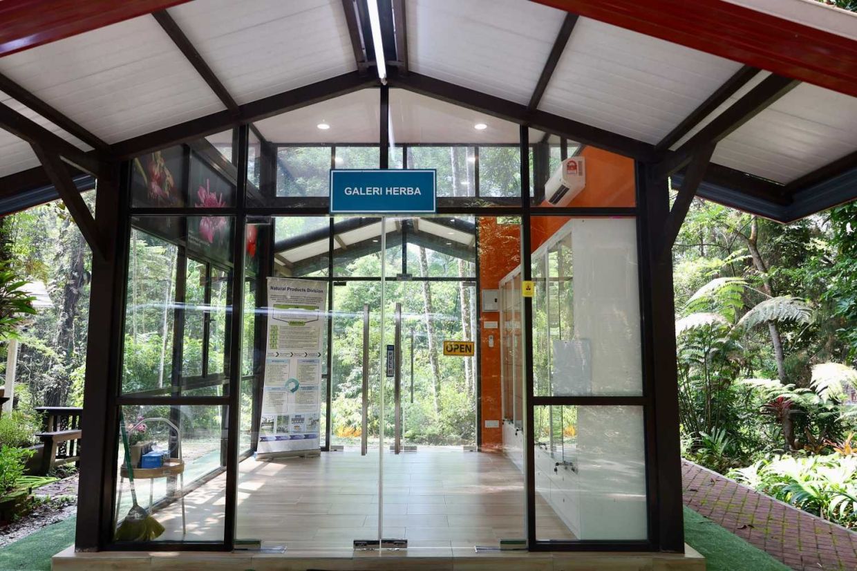 FRIM Selangor Forest Park is now a Unesco World Heritage Site | The Star