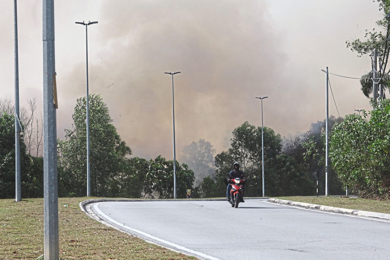Human activity blamed for recent fires | The Star