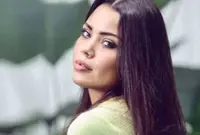 Court orders govt to pay RM1.1mil to family of Dutch model who fell to ...